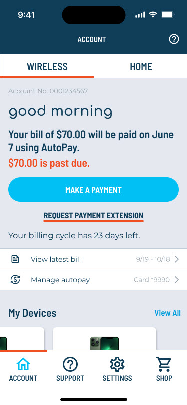 How to request a payment extension