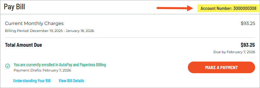 How to find your account number online