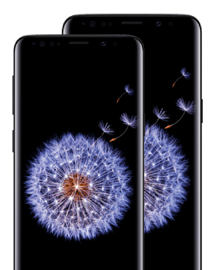 Wireless, Home Services, and Business Solutions | C Spire Wireless