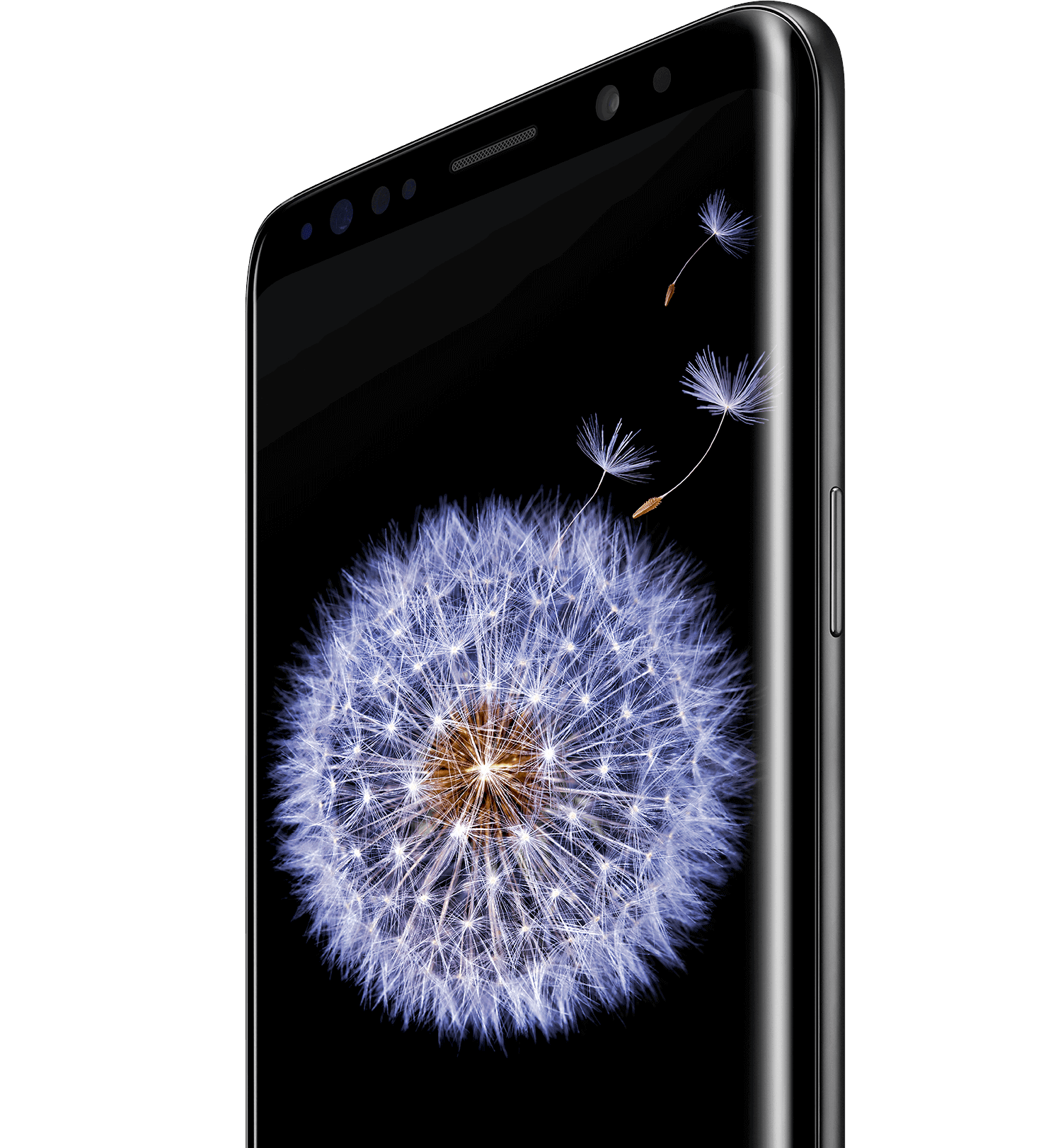 Wireless, Home Services, and Business Solutions | C Spire